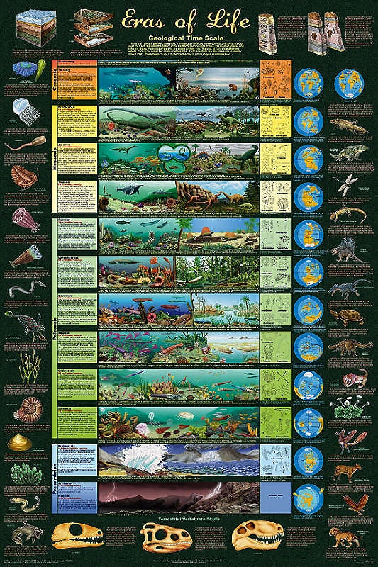 Eras of Life / Geological Time Scale Poster: An Illustrated Journey ...